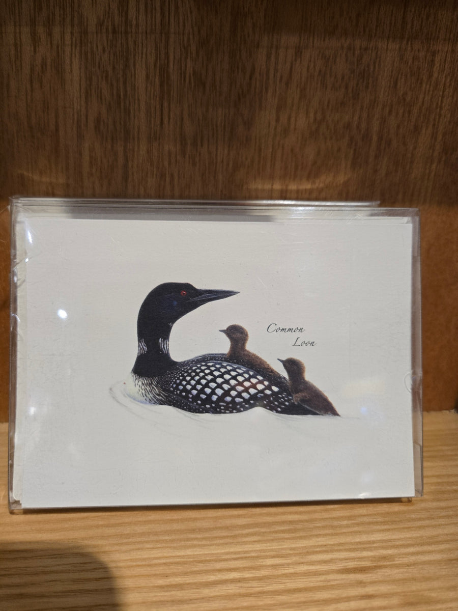 Loon Note Cards - 8pk – Sherburne Eagle's Nest Store