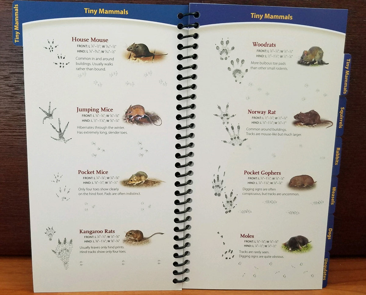 Animal Tracks Midwest - Quick Guide – Sherburne Eagle's Nest Store