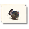 Wild Turkey - Note Cards 8pk – Sherburne Eagle's Nest Store